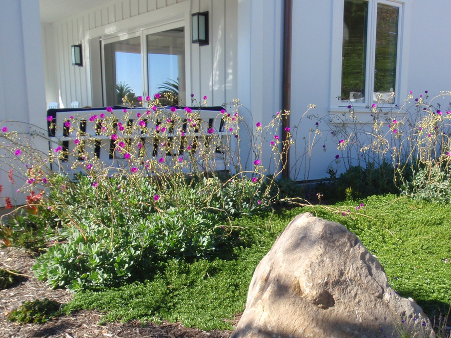 Planting - Wilson Environmental Contracting