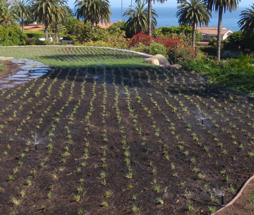 Irrigation - Wilson Environmental Contracting