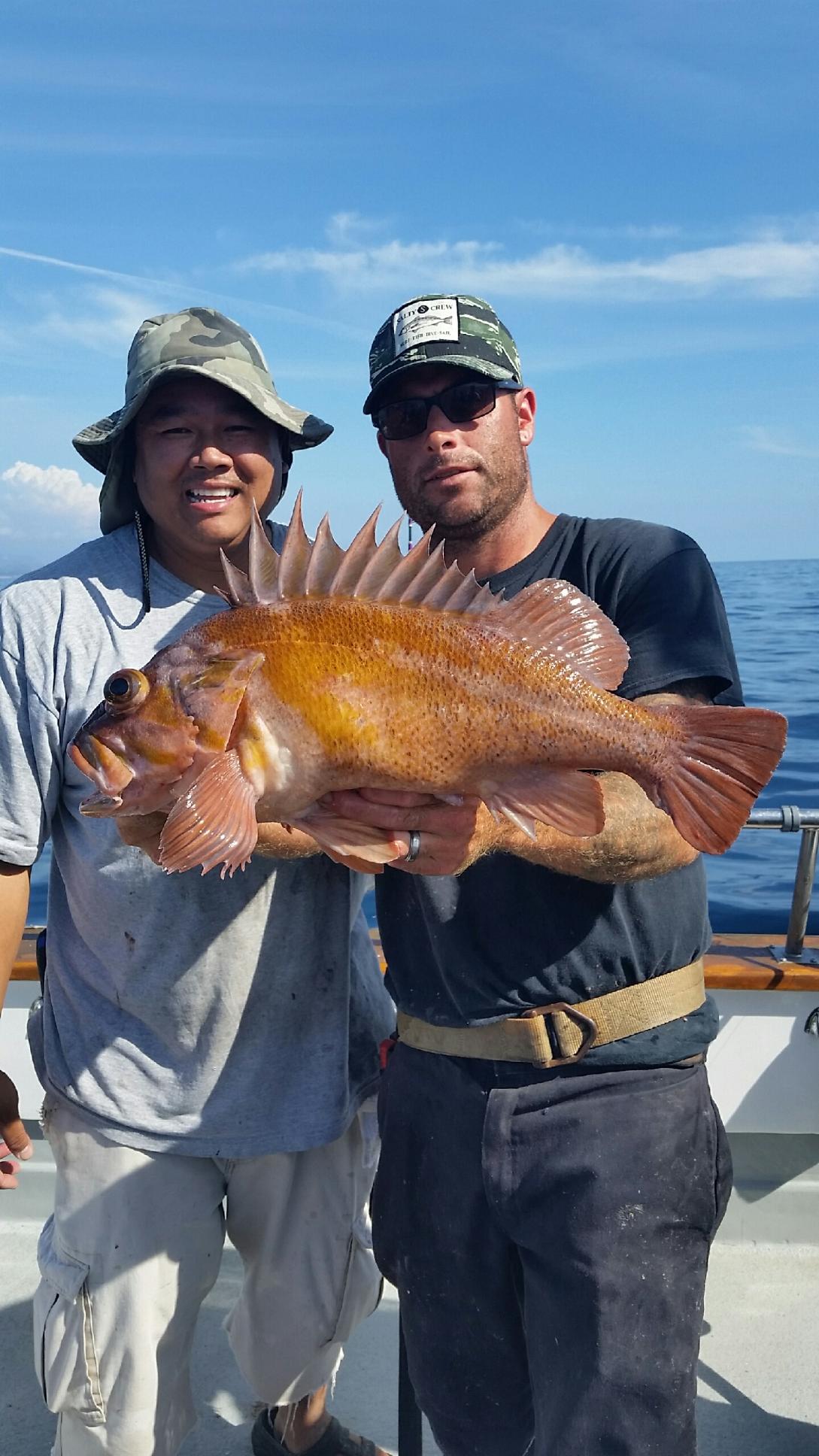 10.17.15 Rockfish Yellowtail Lingcod Channel islands - Stardust ...