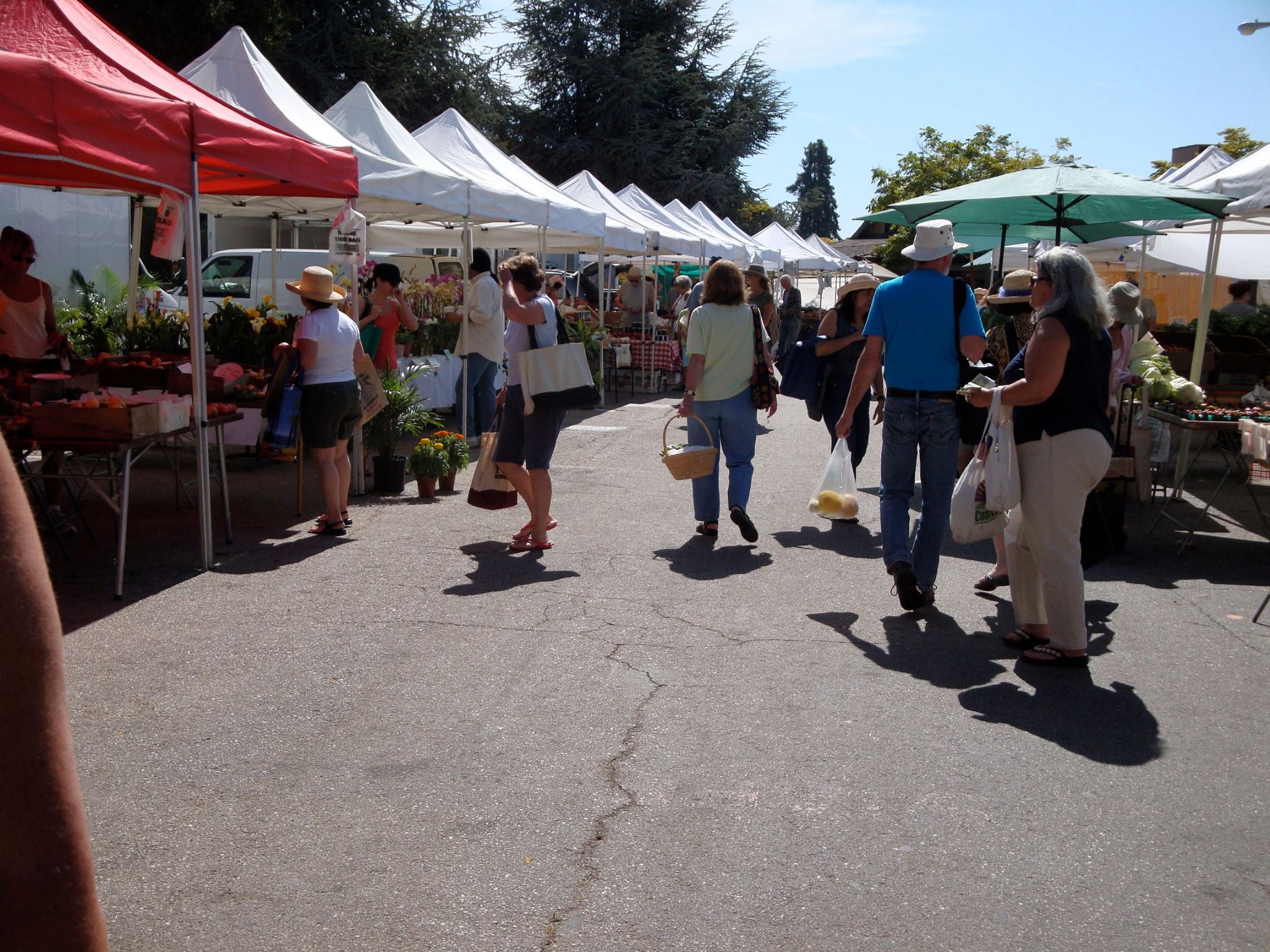 Alemany Farmers' Market - Gary S. Ross, M.D. Ross Health