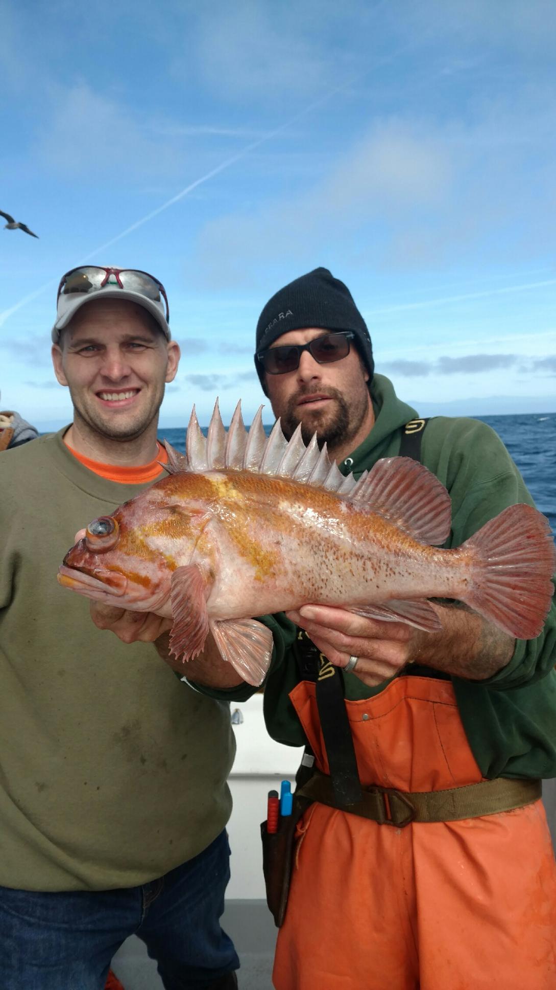 Quality Fish - Stardust Sportsfishing Santa Barbara Ventura