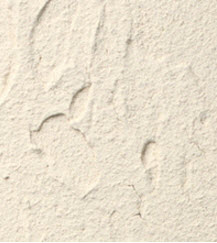 Senerflex - Solutions for Protection & Appearance - Surface FX Inc ...