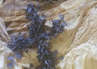 Miranda Eve-Childs casket found under home - Garden of Innocence