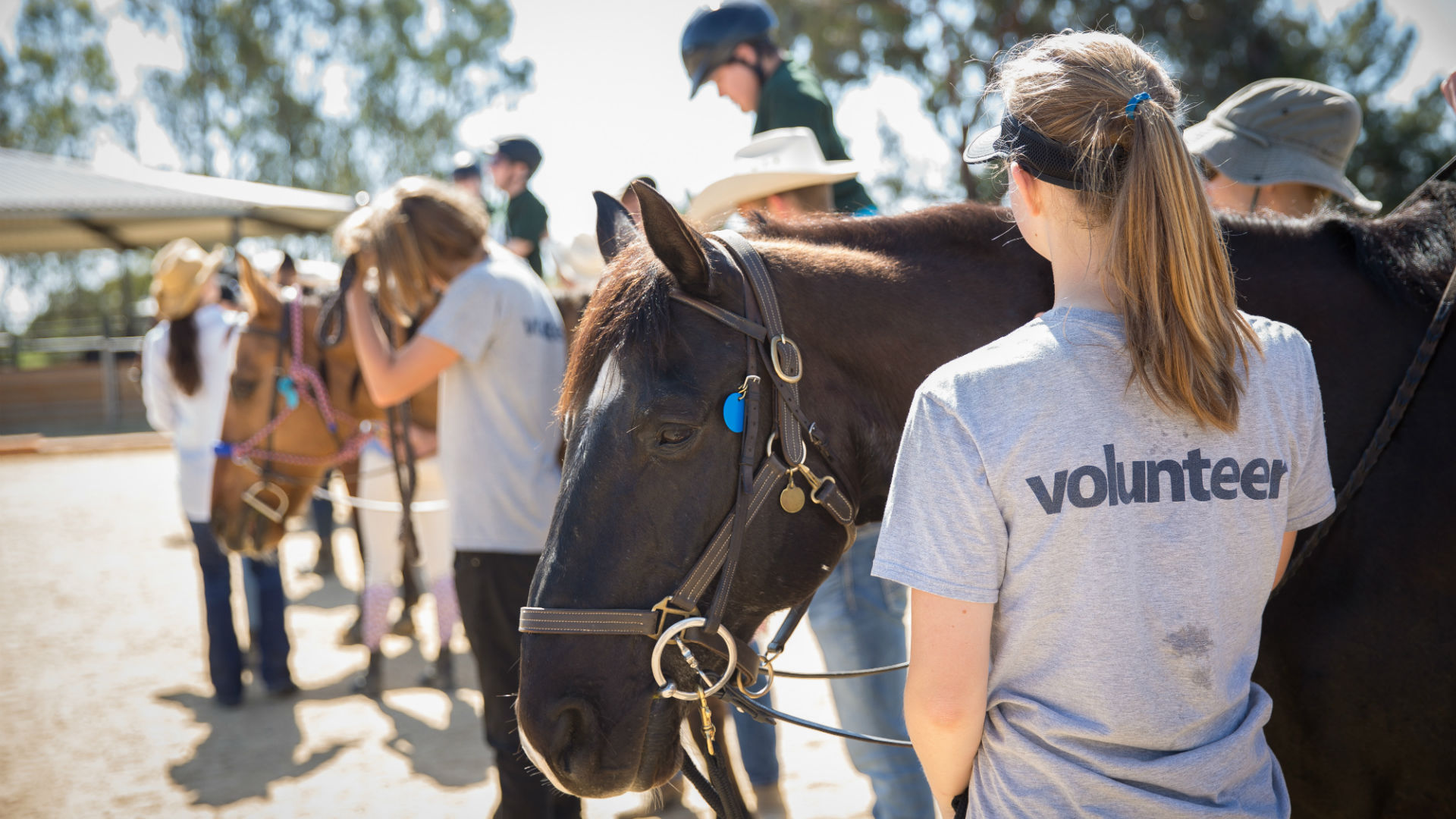 Volunteer Hearts Riding Santa Barbara - Hearts Riding