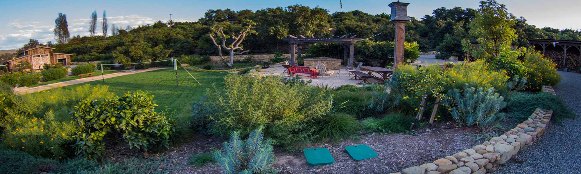 Santa Barbara Plant and Tree Installation - Salinas Landscape