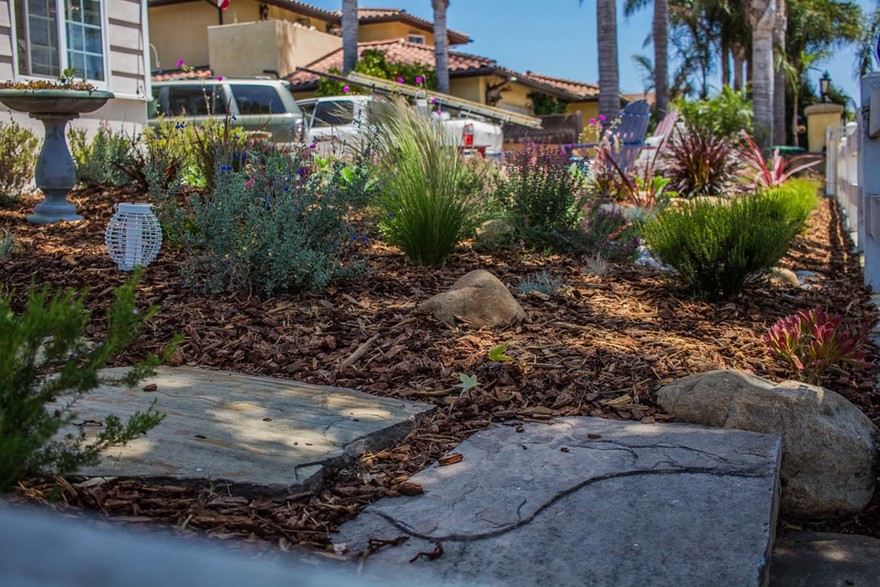 Santa Barbara - Salinas Landscape
