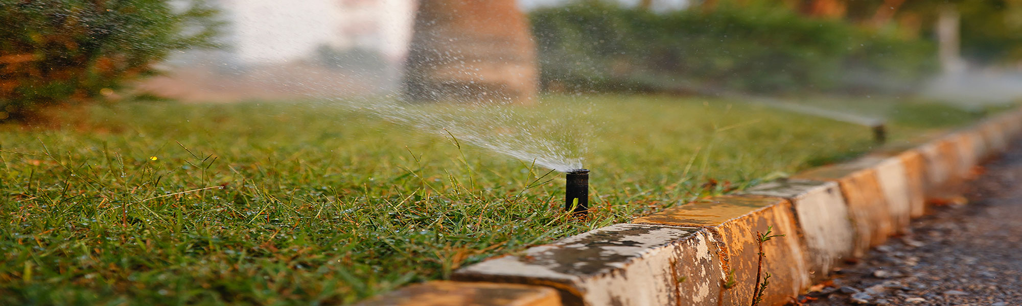 Santa Barbara Drain and Irrigation Repair - Salinas Landscape