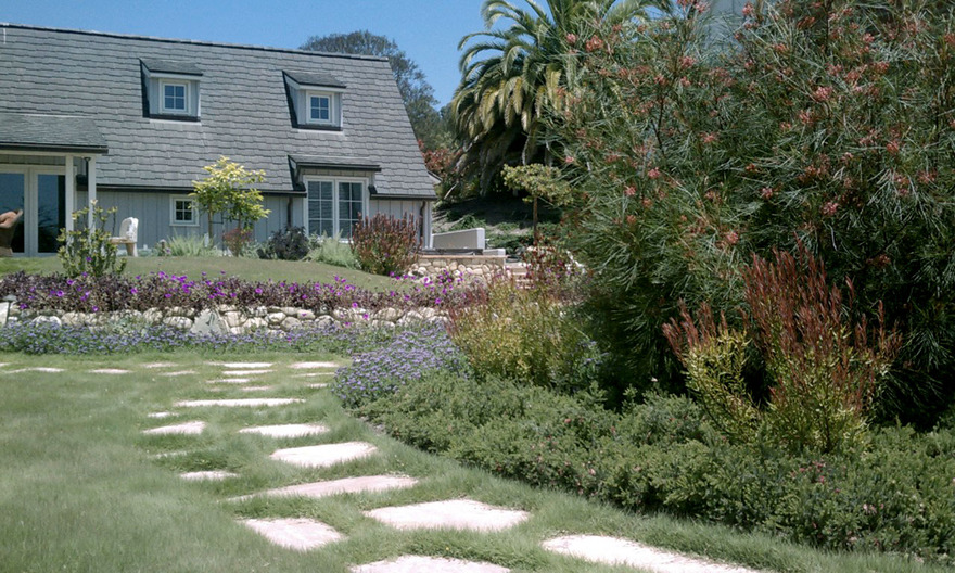 Drought-Tolerant Plantings - Wilson Environmental Contracting