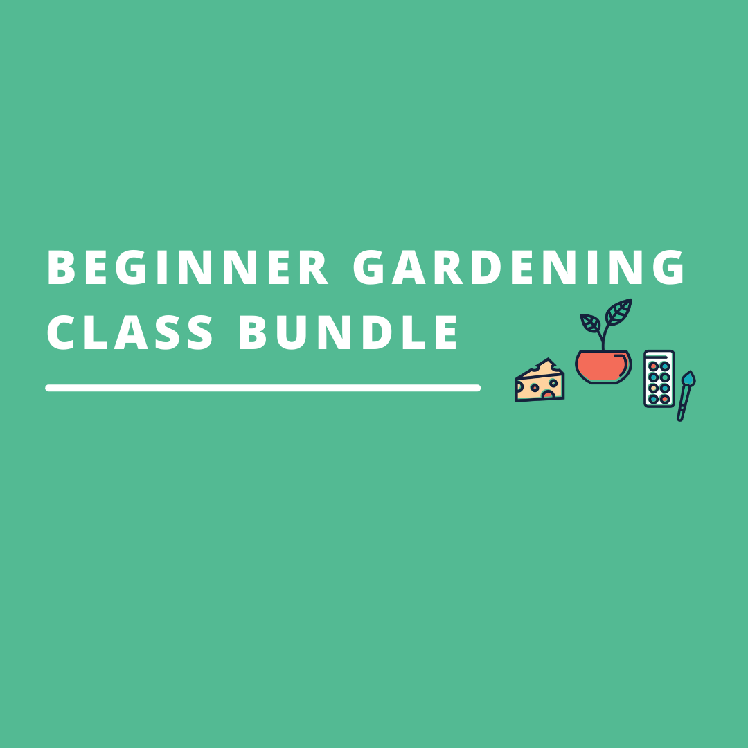 Beginner Gardening Class Bundle | SkillPop