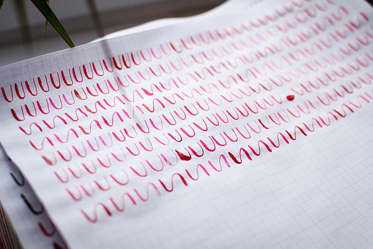 30 Days of Calligraphy | Skillshare Student Project