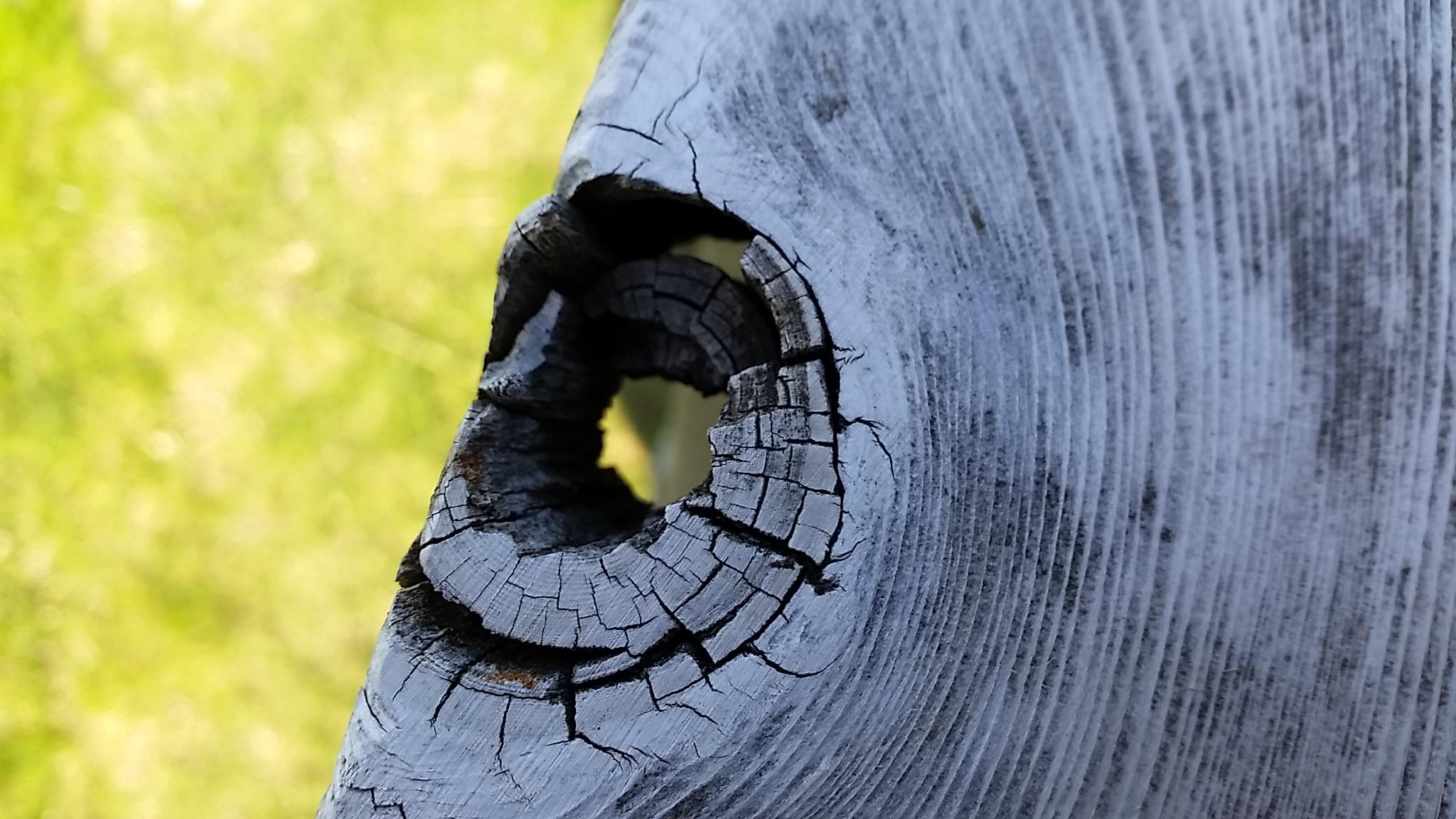 Knothole Cave | Skillshare Student Project