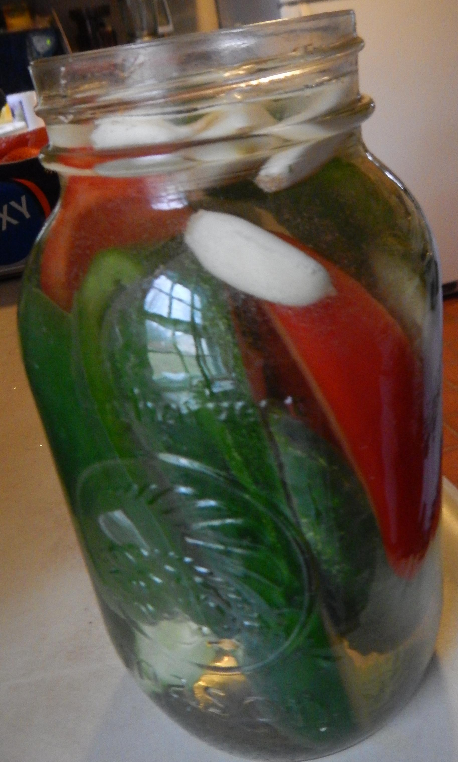 My first fresh cold water pickles!!! | Skillshare Student Project