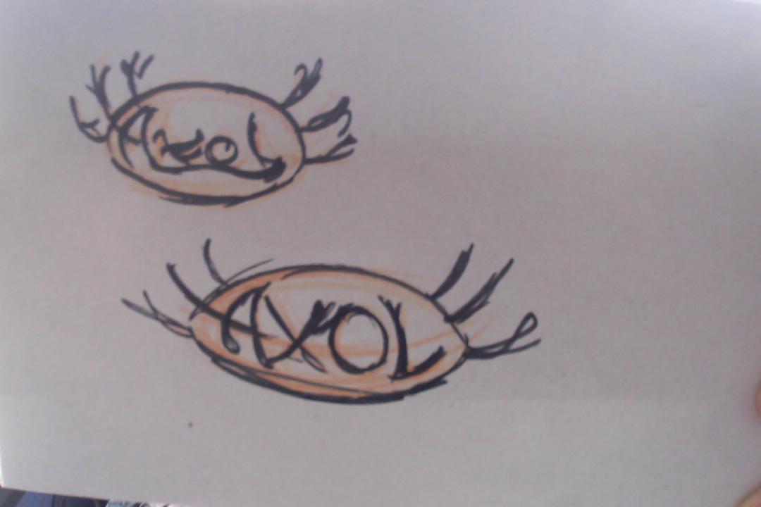 axol logo | Skillshare Student Project
