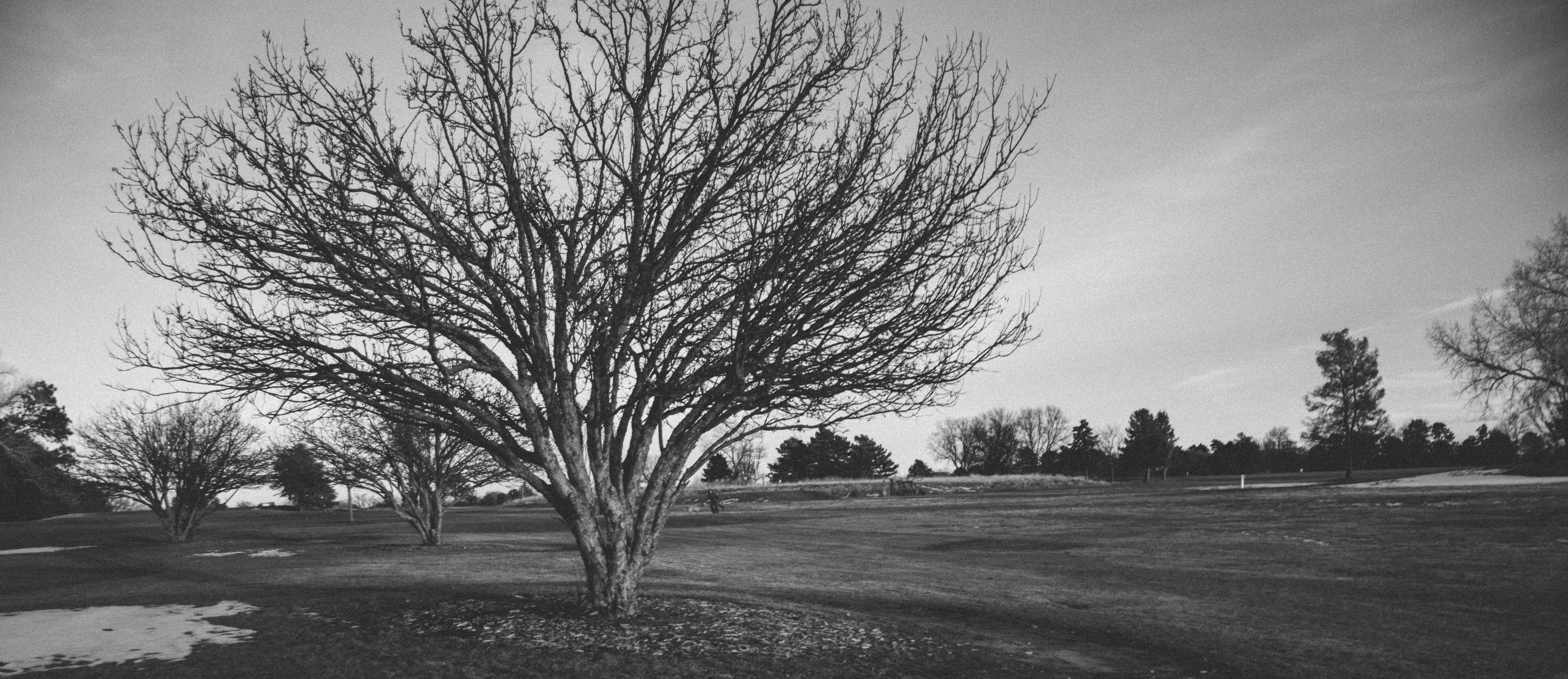 Springing in. | Skillshare Student Project