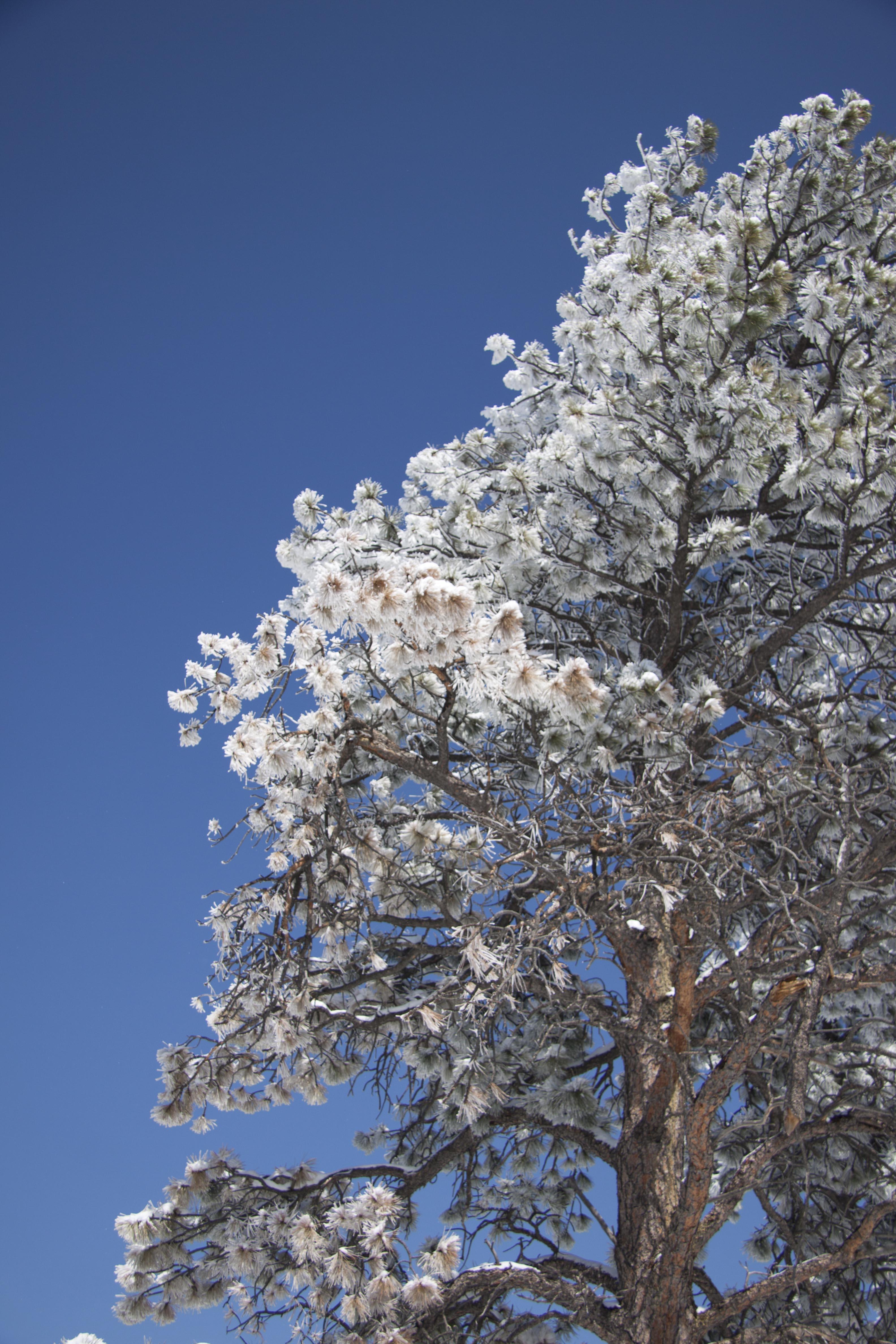 Springing in. | Skillshare Student Project