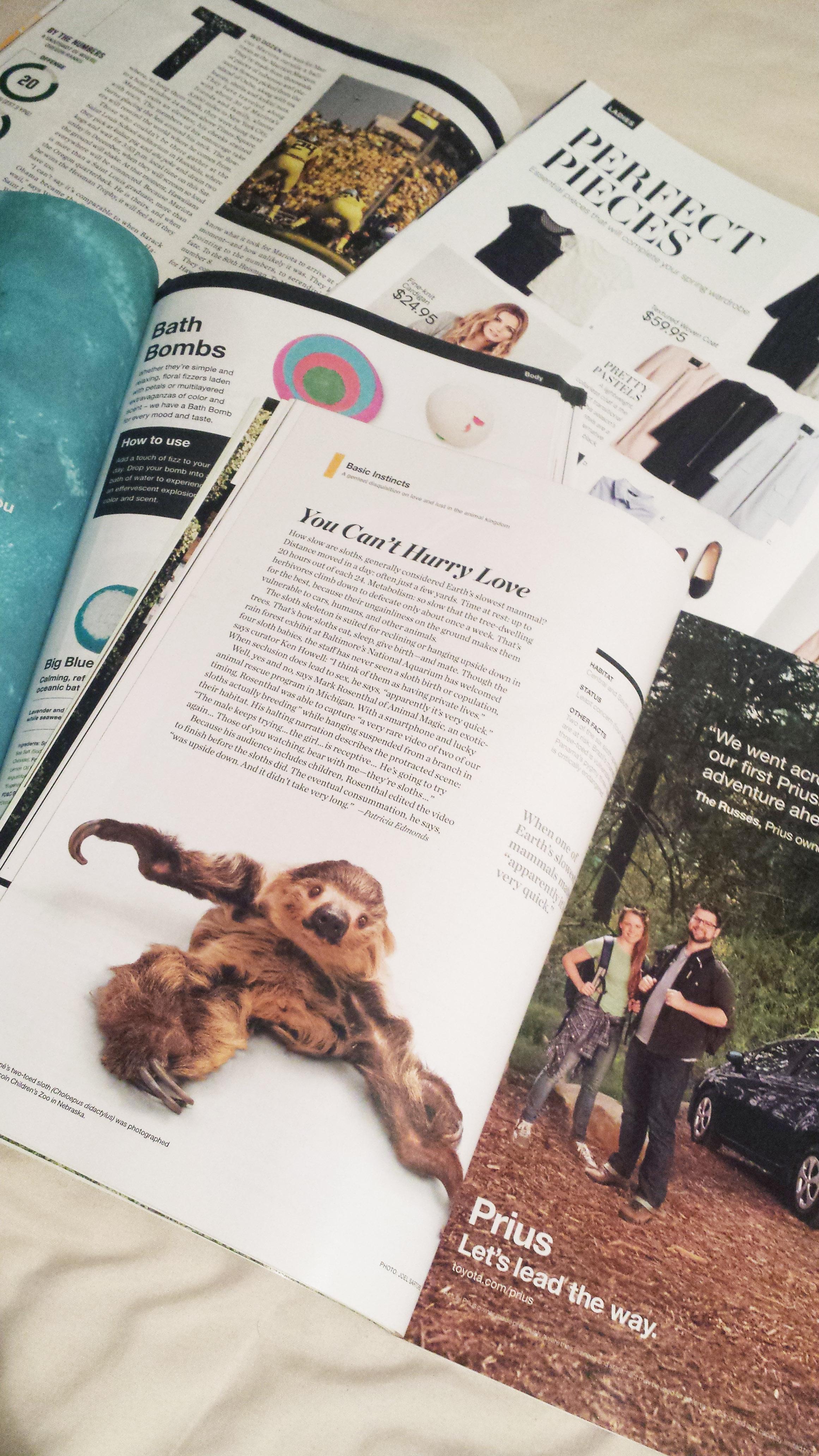 Ninety31 Magazine | Skillshare Student Project