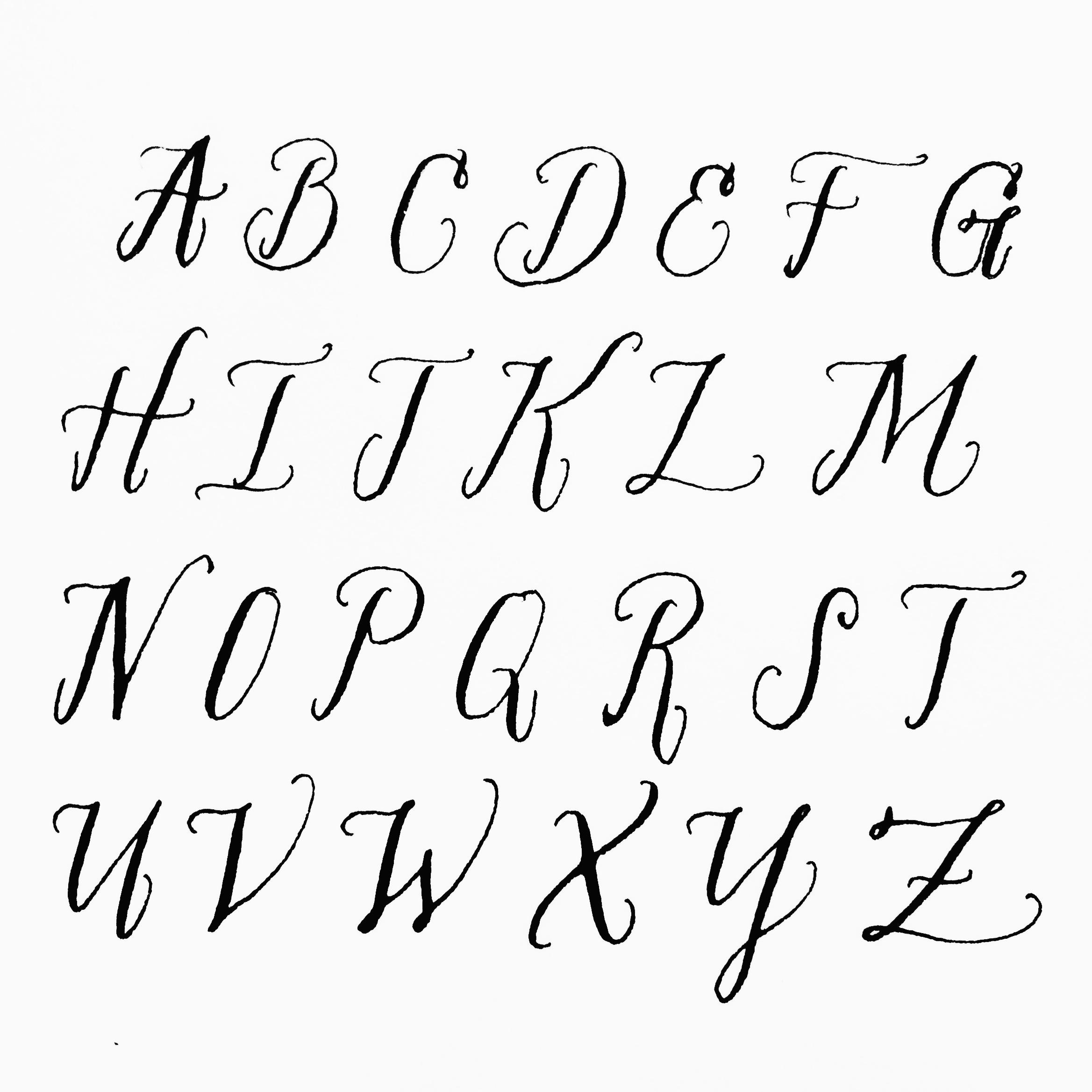 torrie asai | Skillshare Student Project