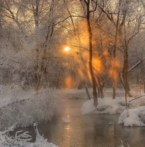 Winter in America - Thrive Global