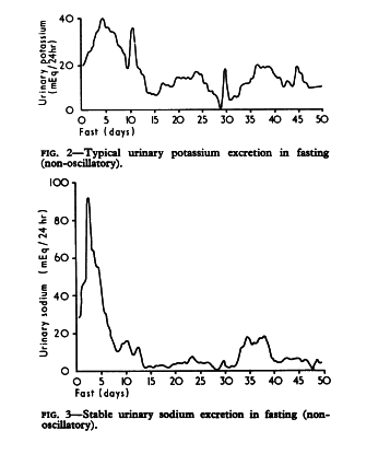 The 7 Cardinal Rules of Fasting For Weight Loss - Thrive Global