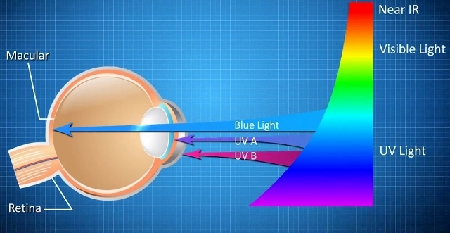 Macular Degeneration & Blue Light - Thrive Global