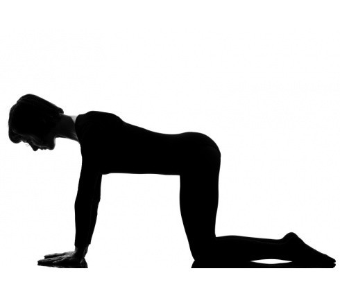 The quadruped way to check your spine health… - Thrive Global