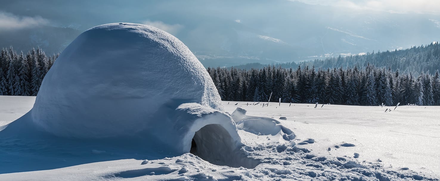 1-4 What is an Igloo? | Smrt English