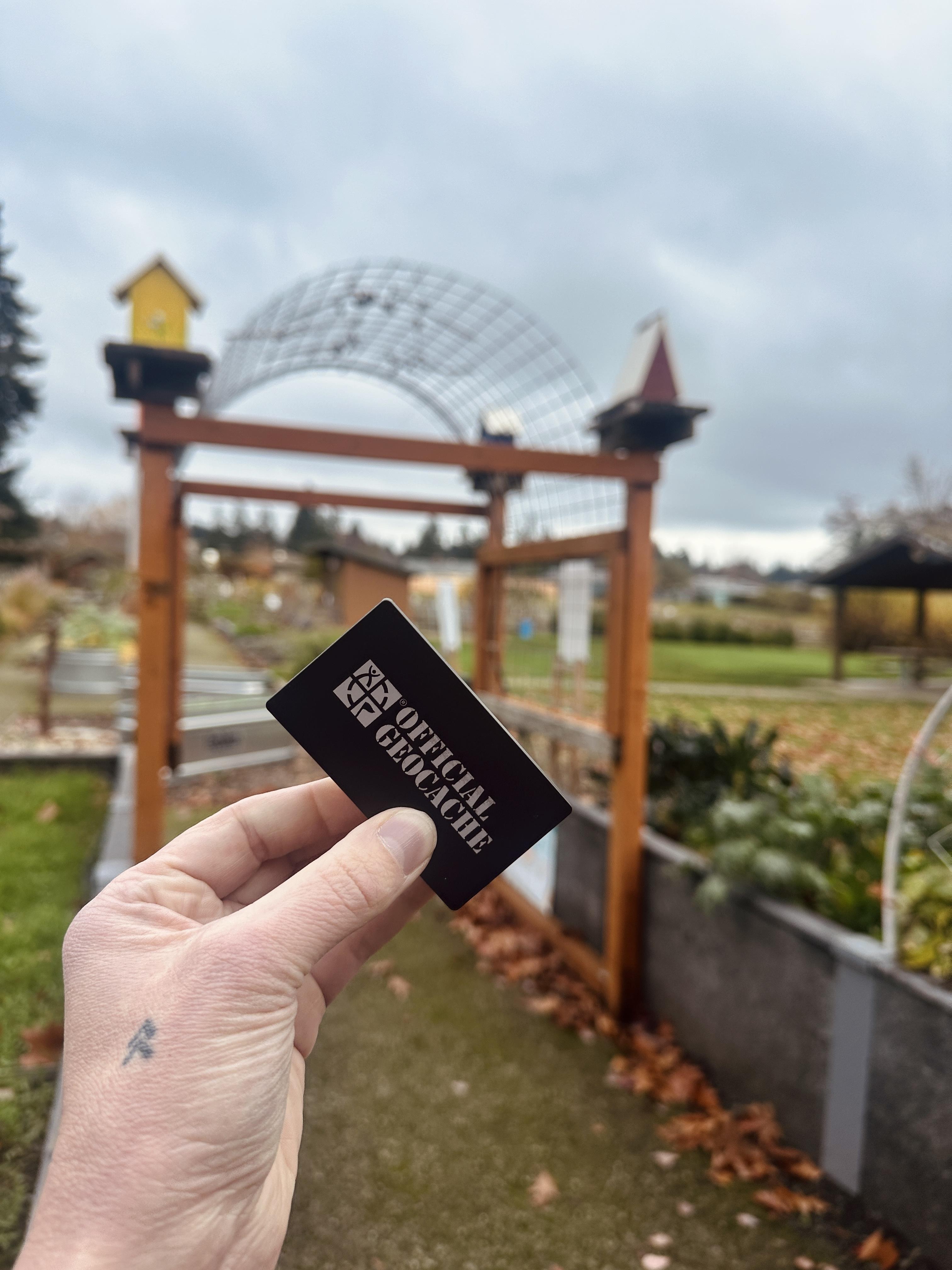 Cheshire Cat: 530 - Welcome to Blueberry Park