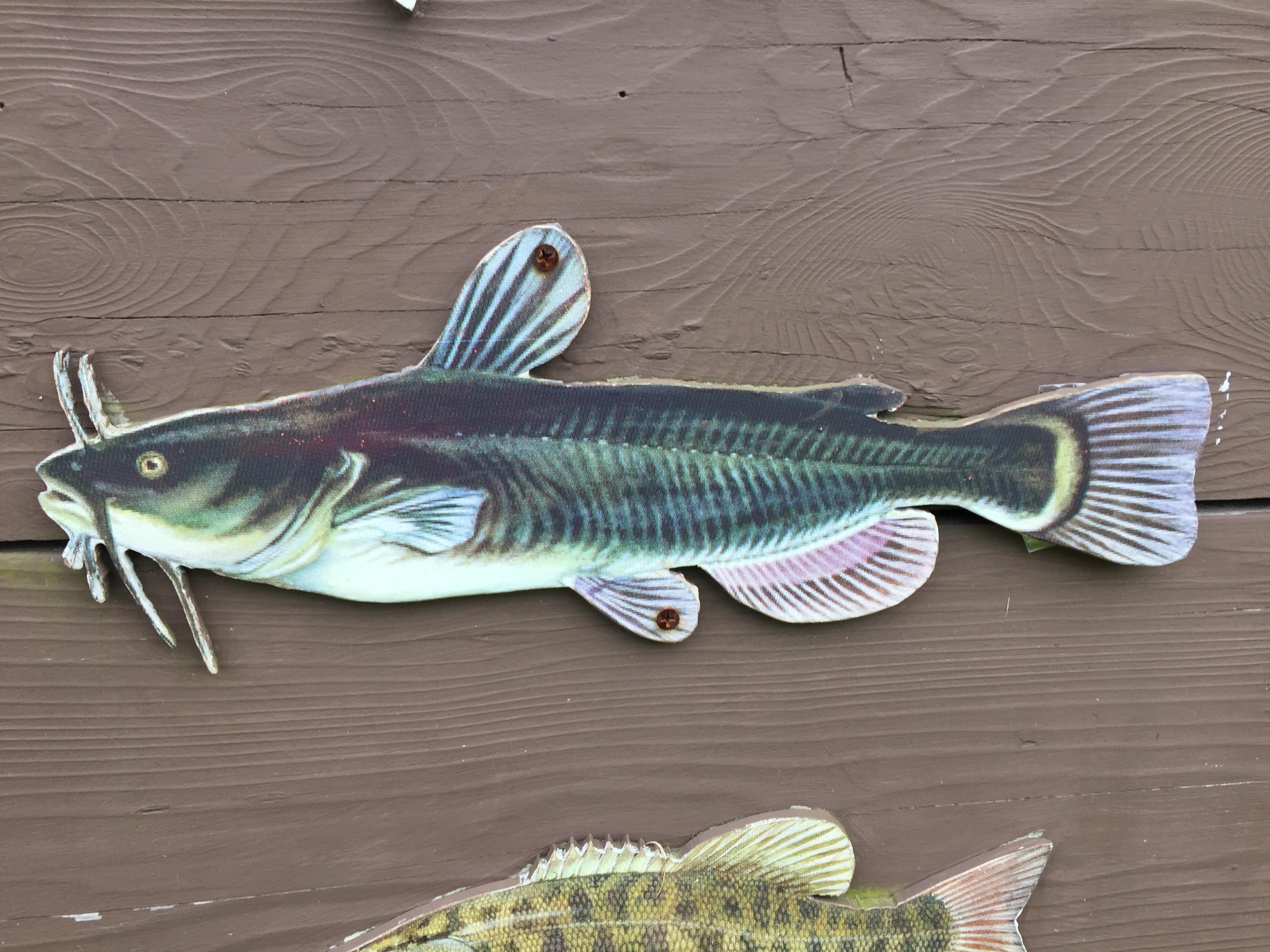 344 - Charles O. Hayford NJ State Fish Hatchery