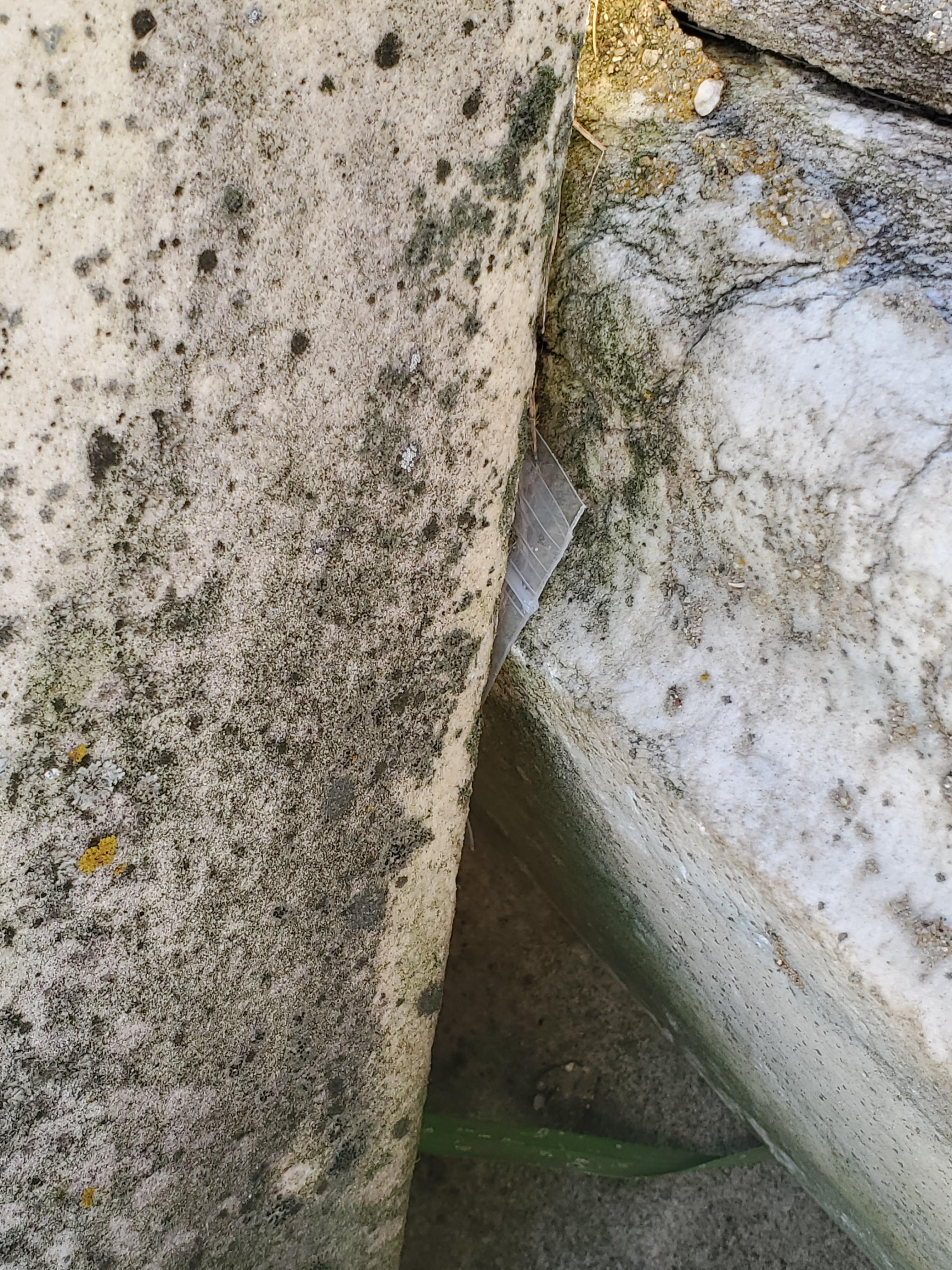 122 - Bloods Point Cemetery Haunting