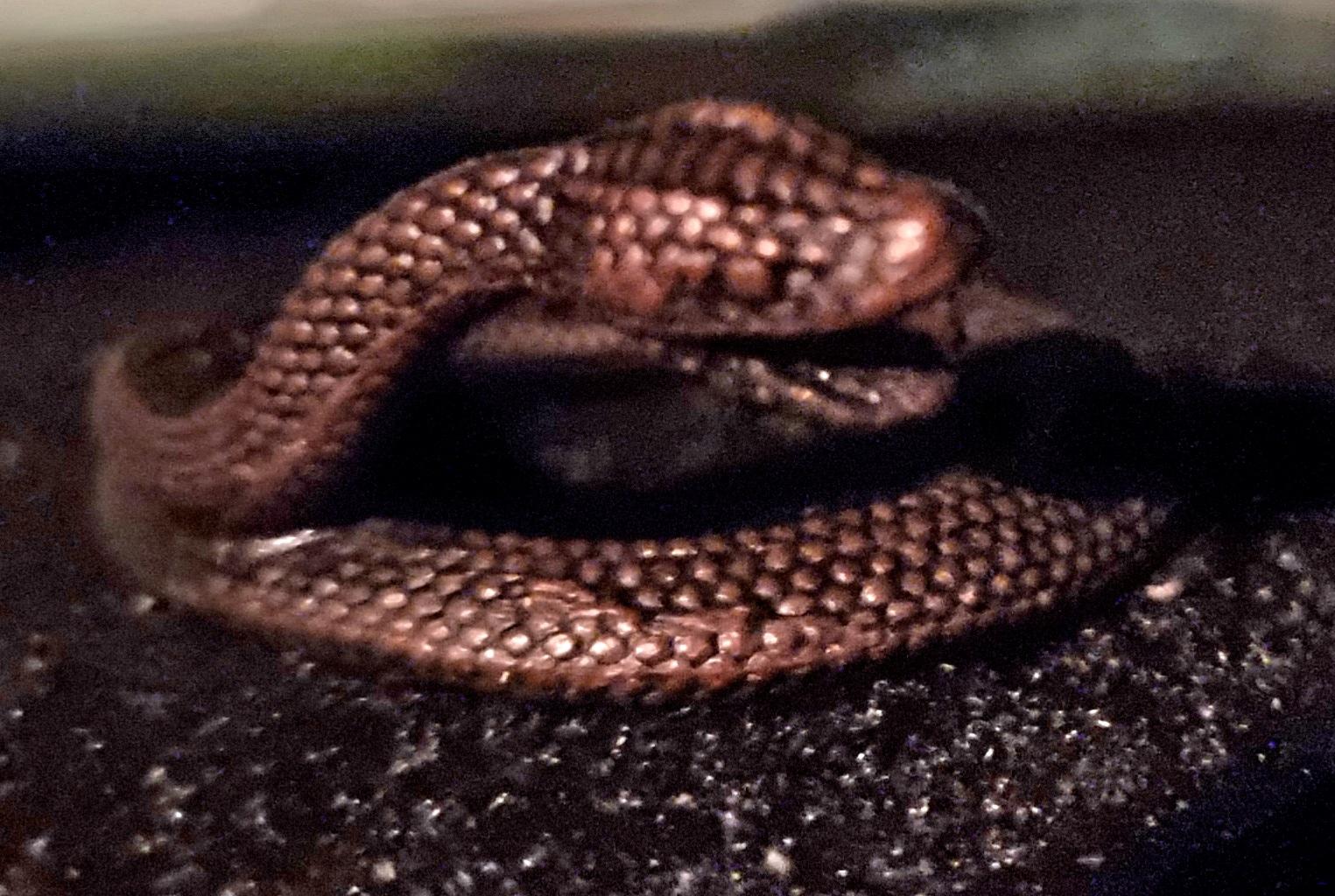 I Hate Snakes: 424 - Pretty sure you're lost Indy... but the snake be ...