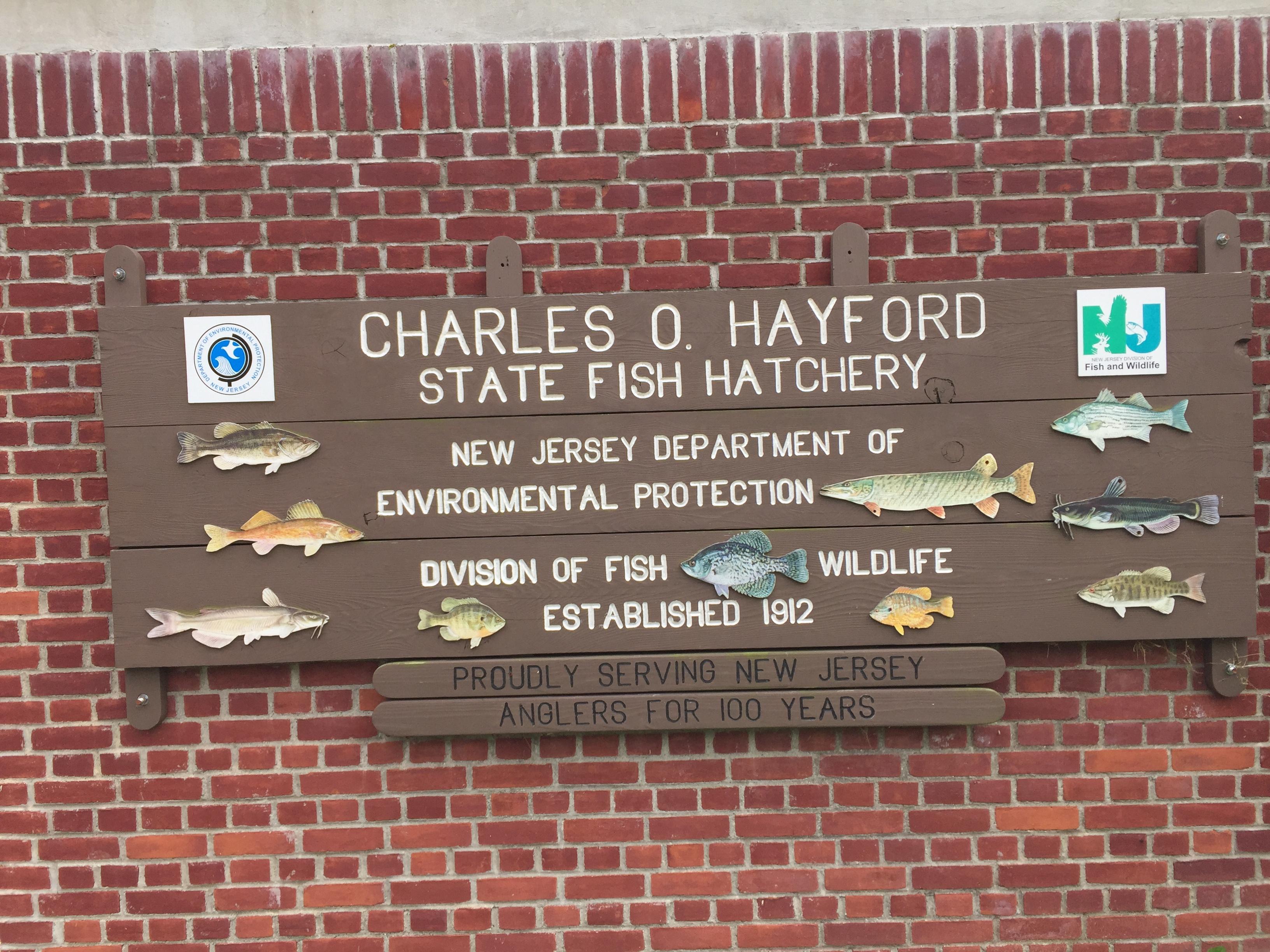 344 - Charles O. Hayford NJ State Fish Hatchery