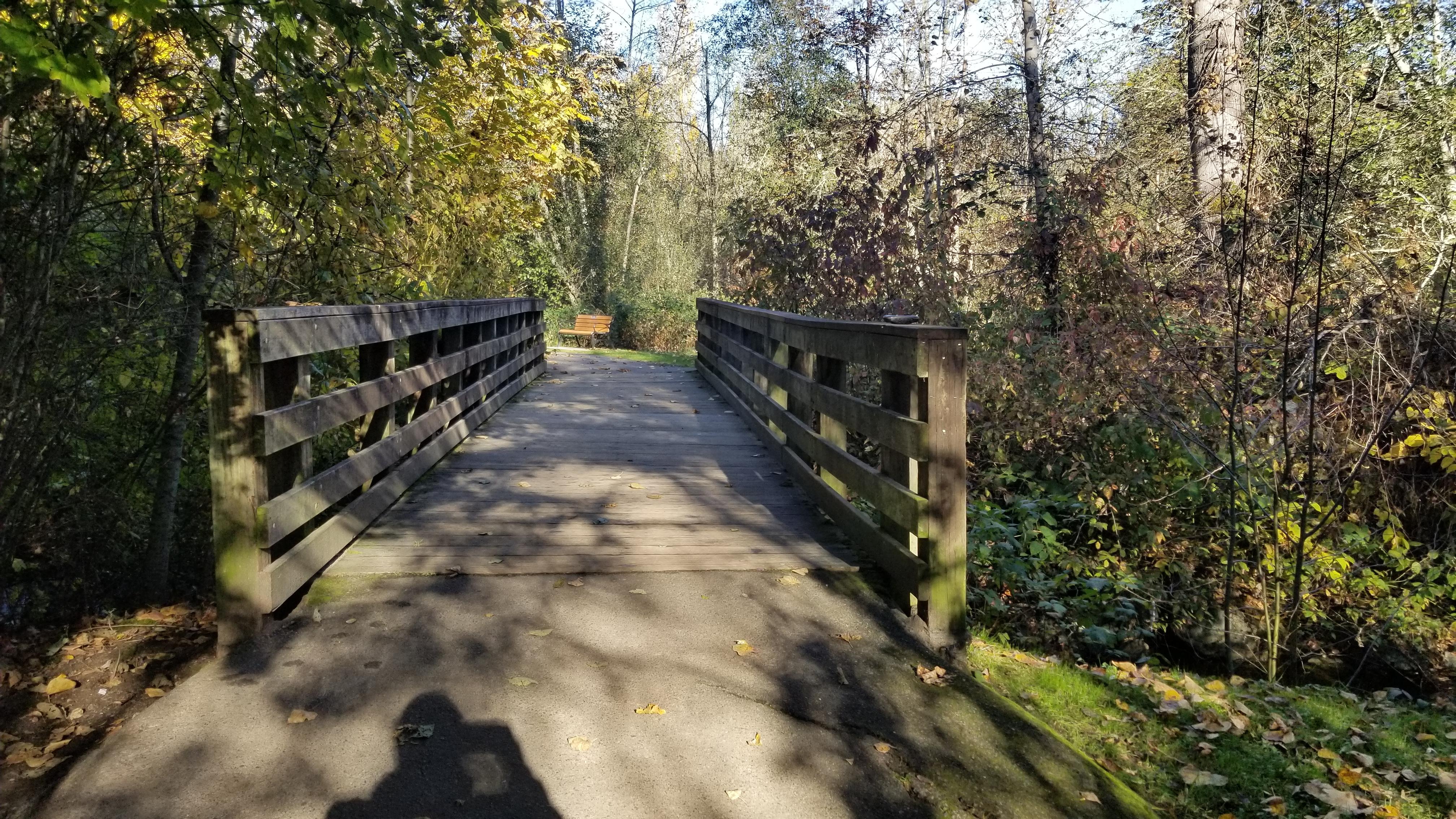 137 - Trolling around at Wallace Swamp Creek Park