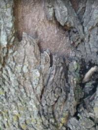 335 - York Nebraska Water Tower