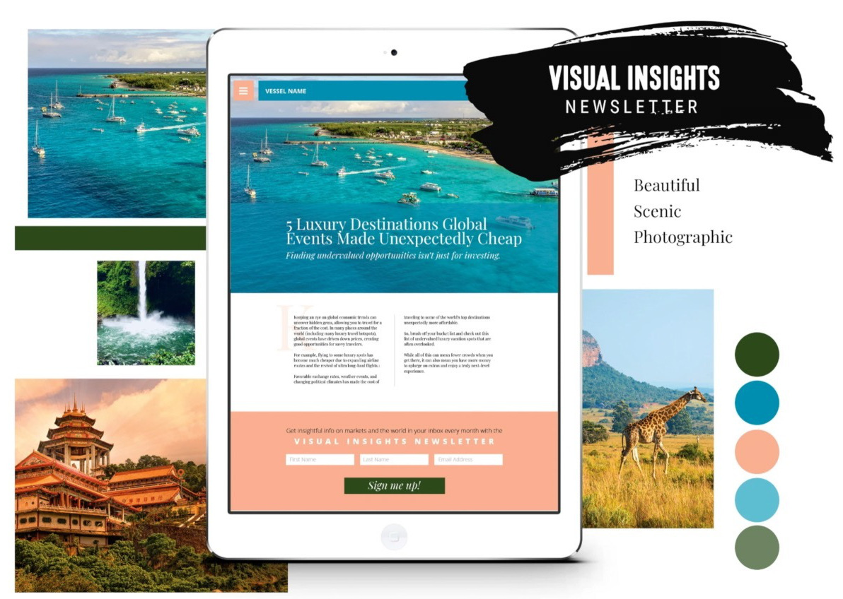 Behind the Campaign: Visual Insights Newsletters – Snappy Kraken