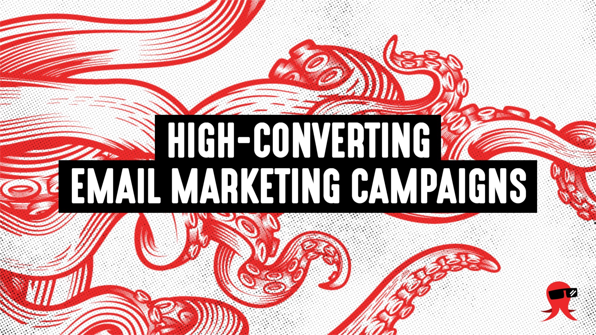 Different Types Of Email Campaigns That Convert Well Snappy Kraken