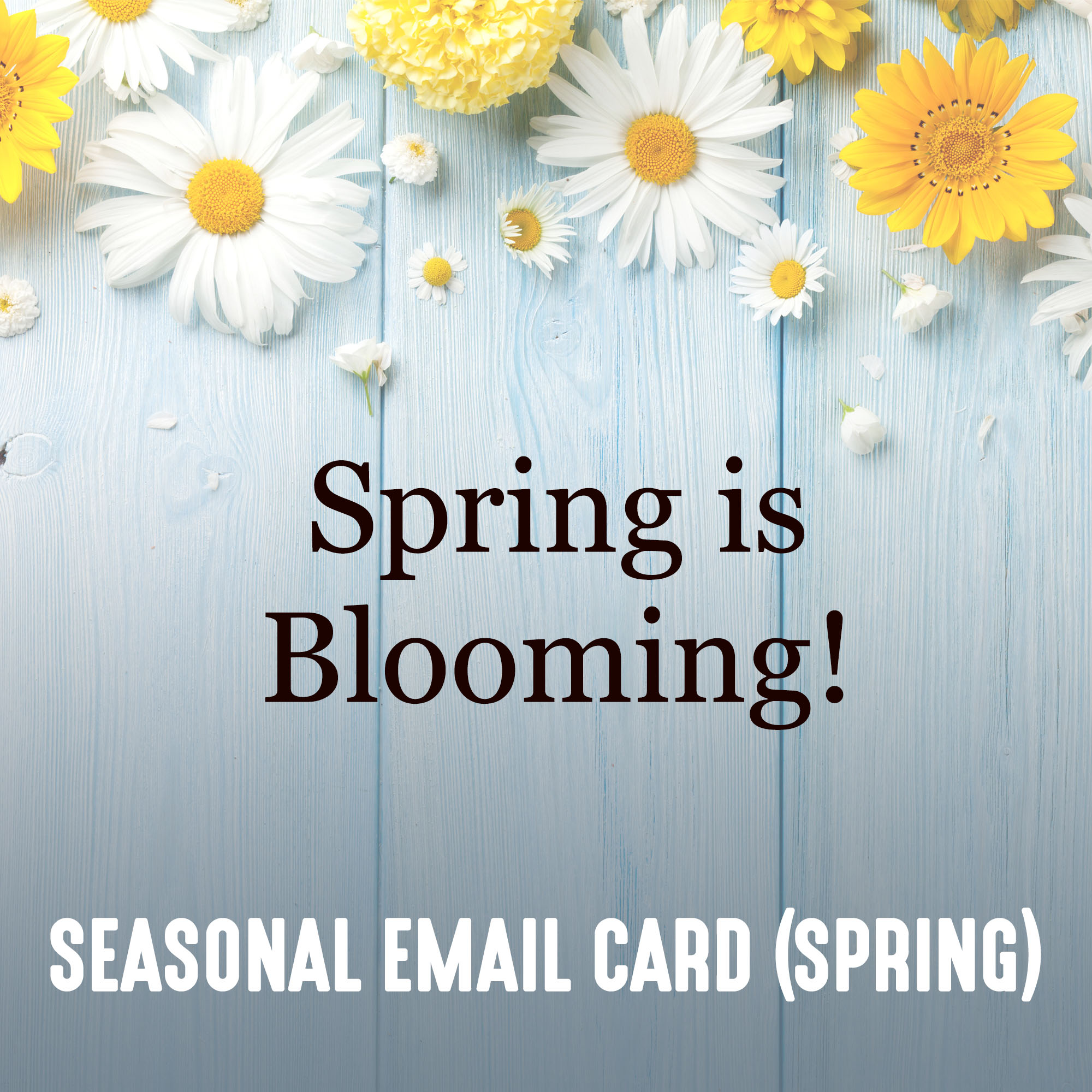 [NEW] Email Communication – Spring Seasonal Card – Snappy Kraken