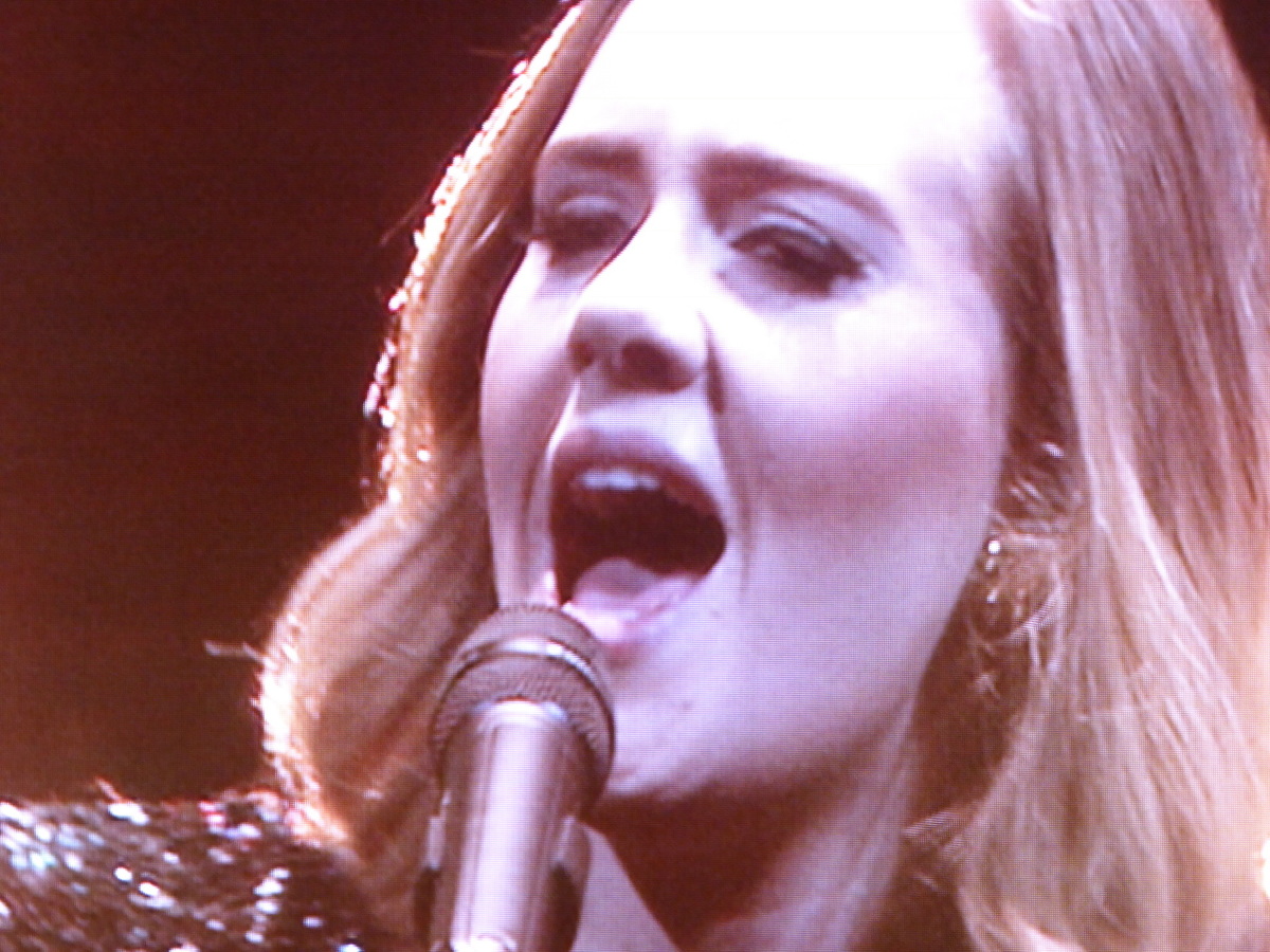 Adele's Concert & Tour History | Concert Archives