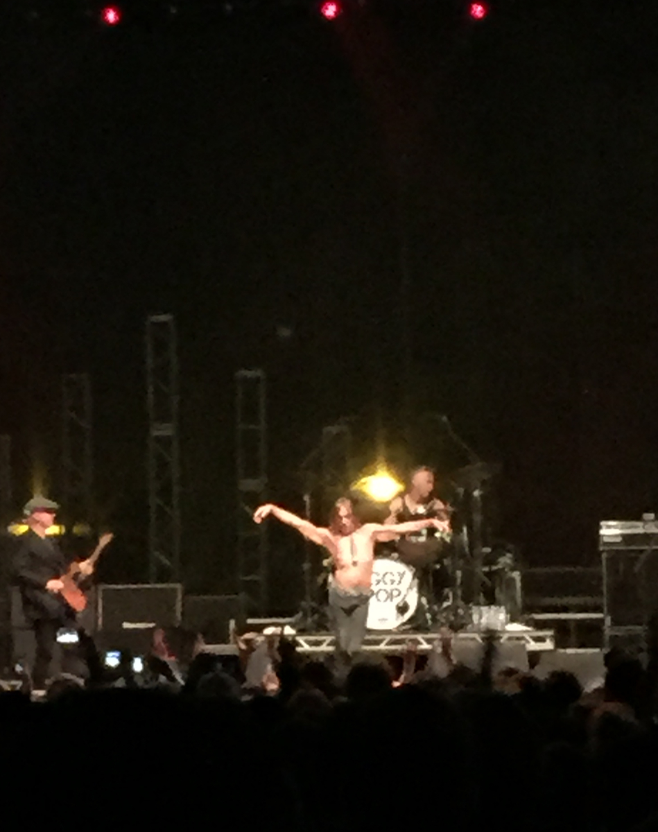 Iggy Pop Concert & Tour History | Concert Archives