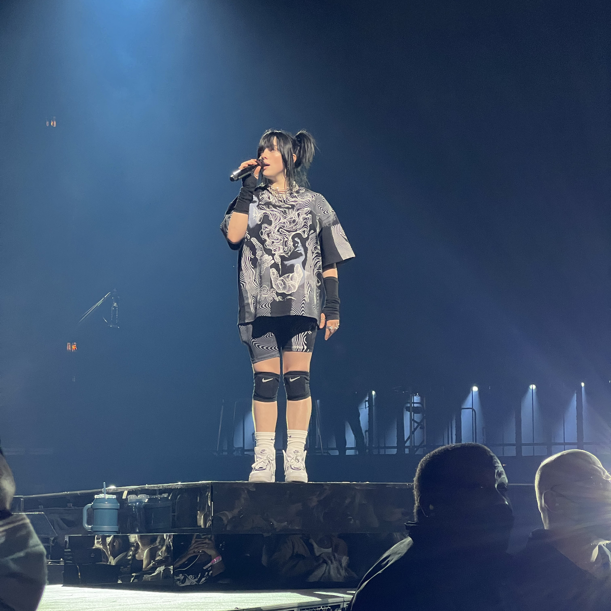 Billie Eilish Concert & Tour History (Updated for 2022) | Concert Archives