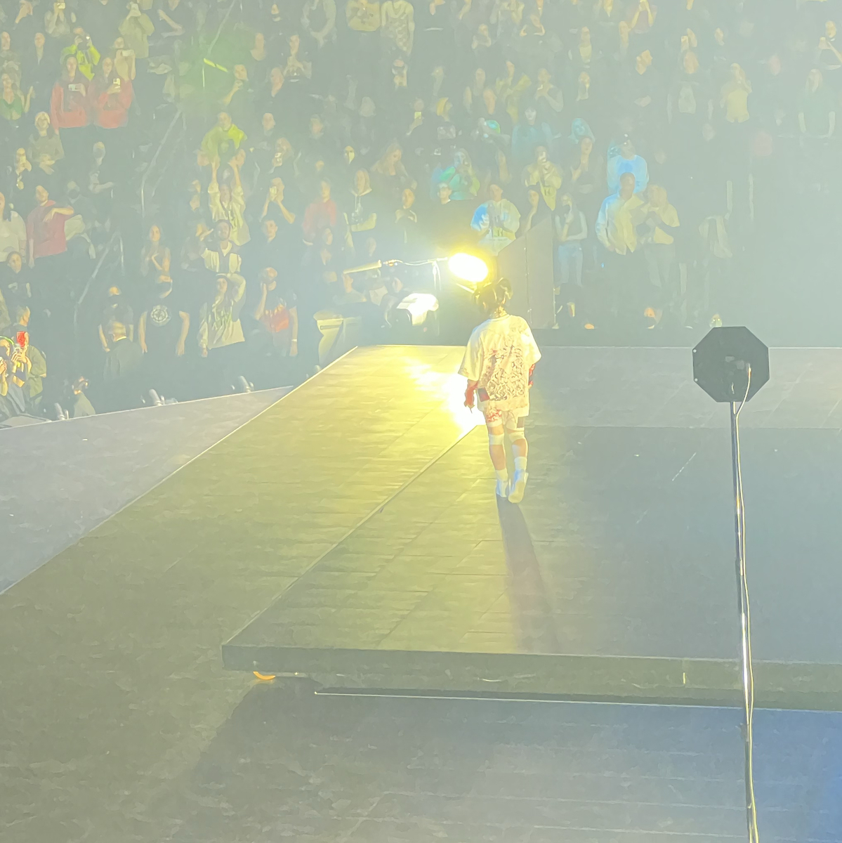 Billie Eilish Concert & Tour History (Updated for 2022) | Concert Archives