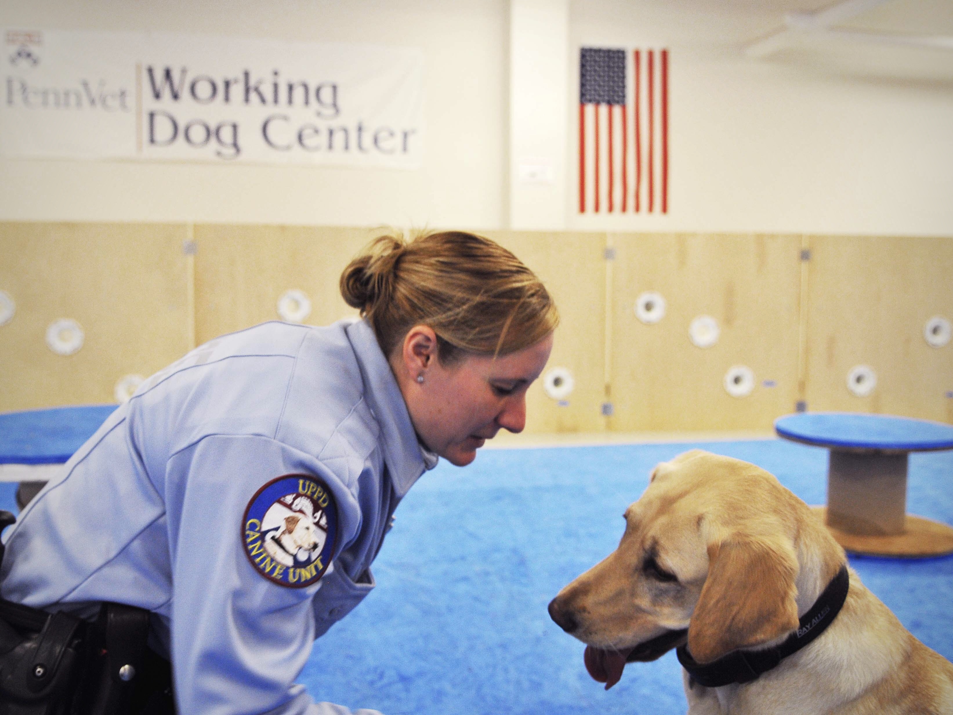 Yolanda Chen - Staff | The Daily Pennsylvanian