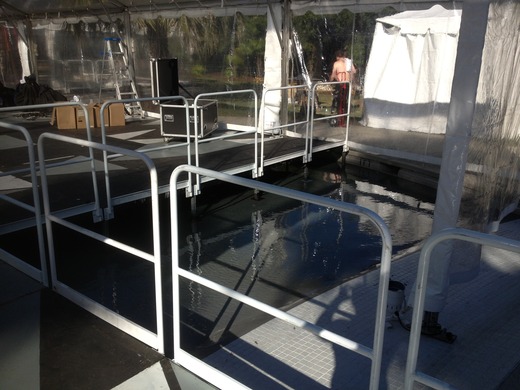 Staging / Flooring - Staging | Snyder Events | Charleston, SC's premier ...