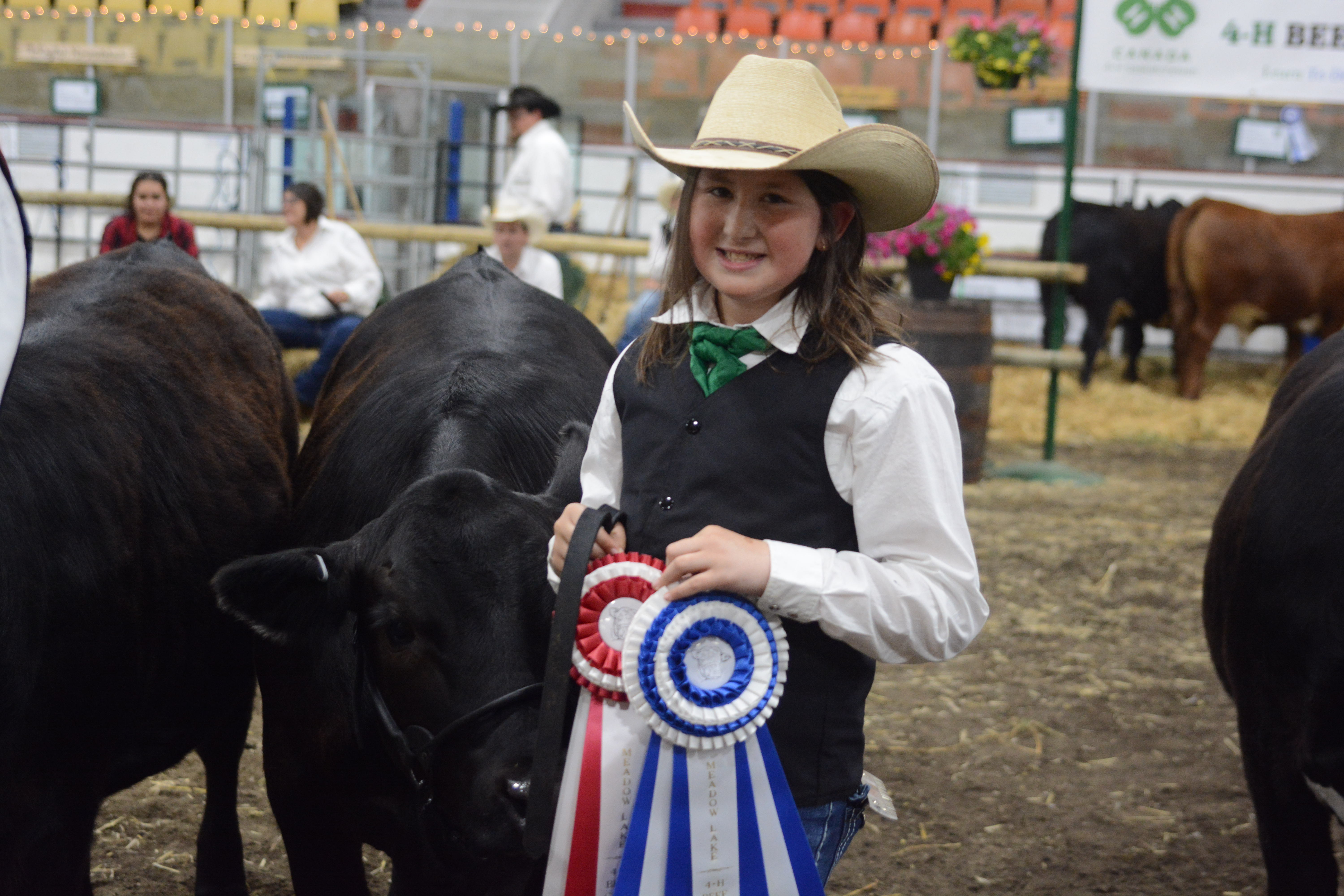 4-H Beef Club kick off Stampede Week with cow competition | farmnewsNOW