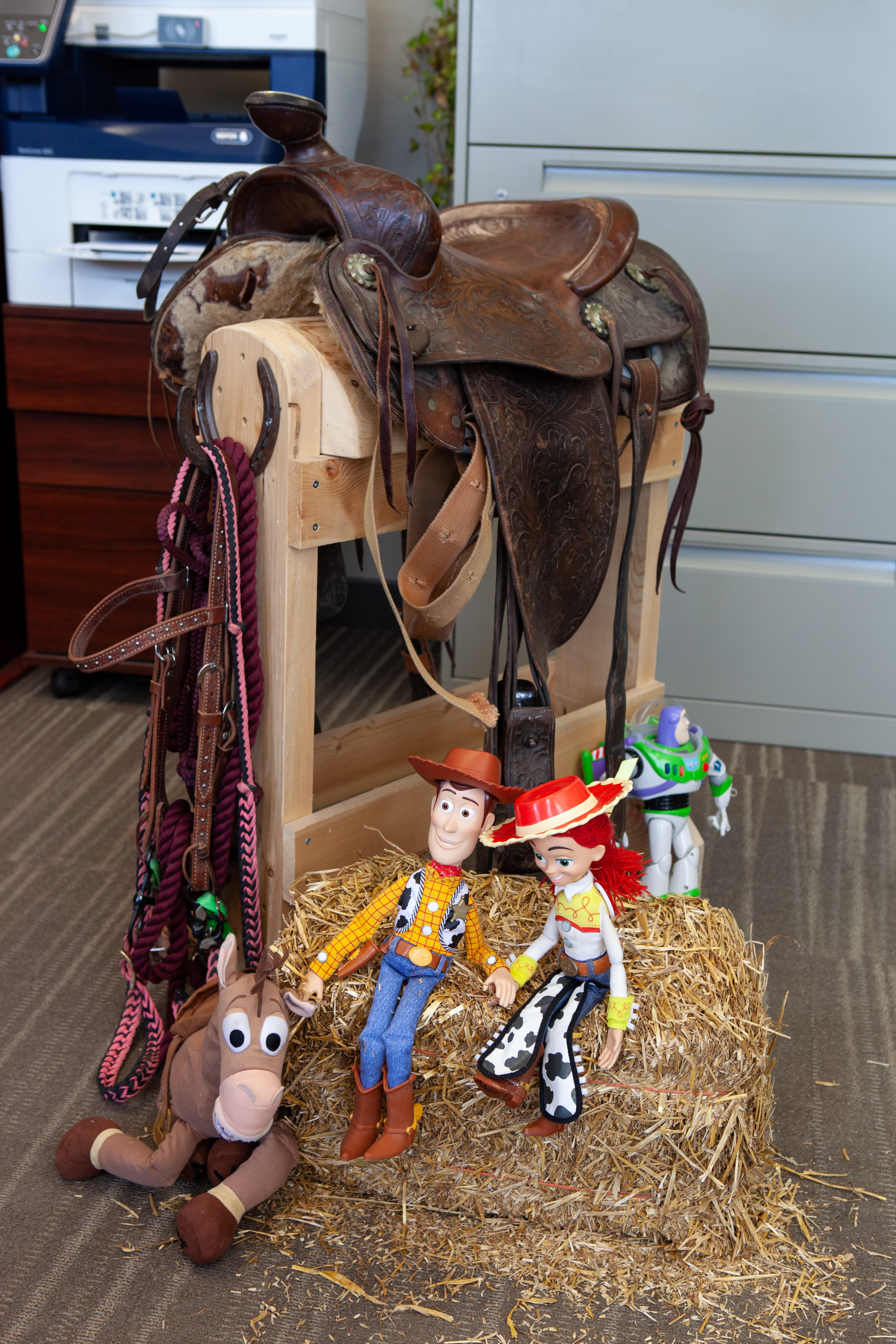 Stampede announces Decorating Contest winners | CHAT News Today