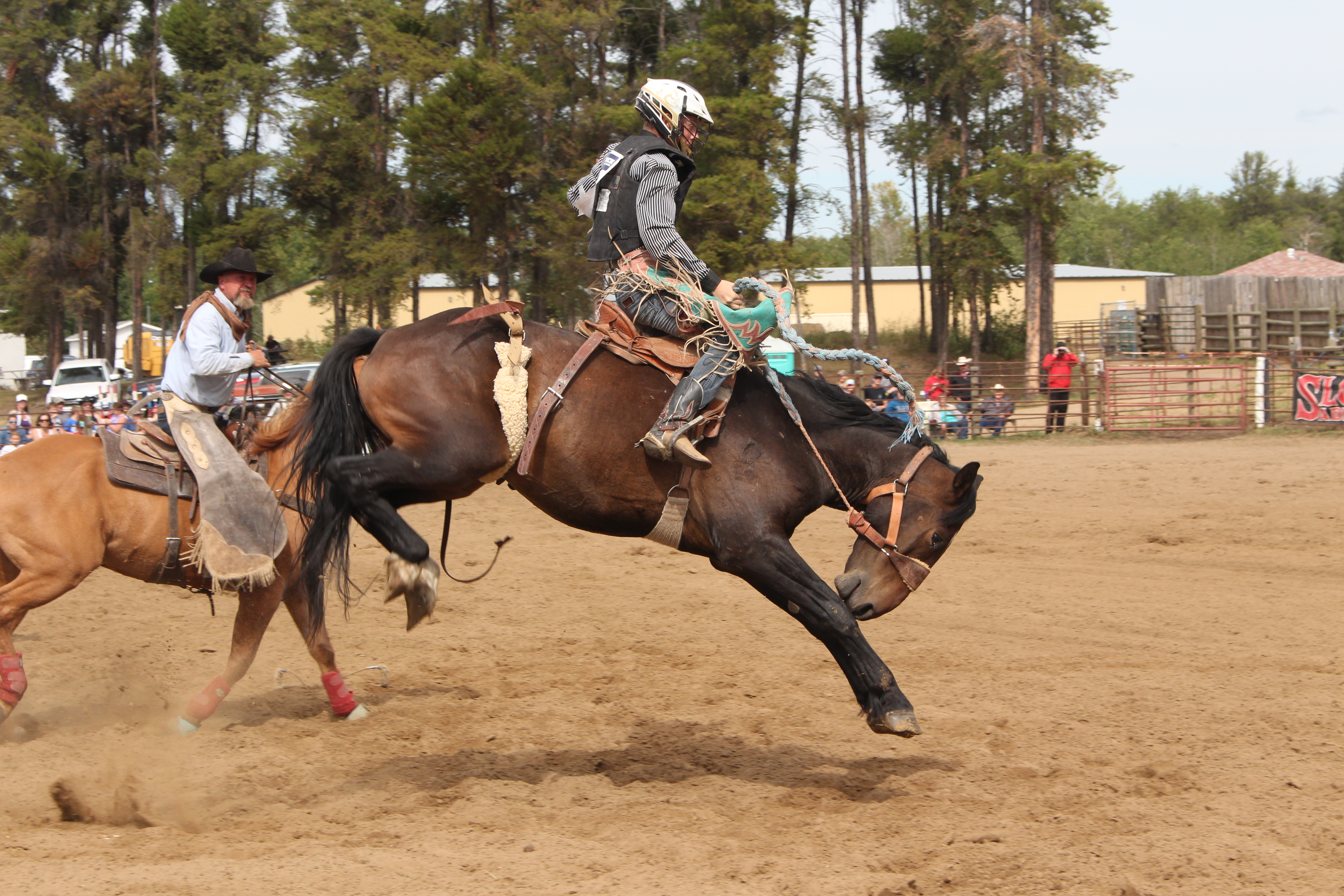 Hundreds arrive in Prince Albert for provincial rodeo competition | paNOW