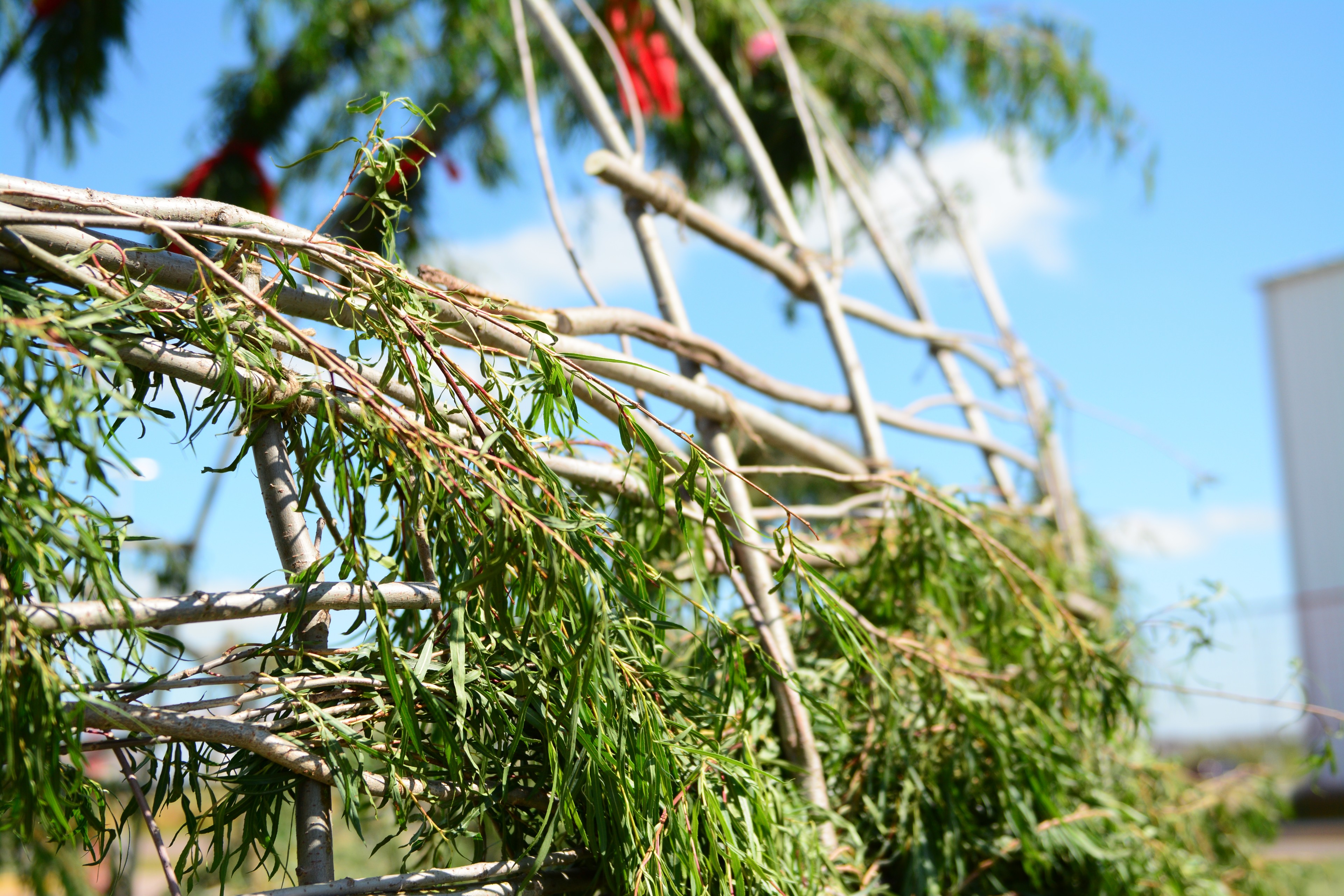 Interpretive willow pathway unveiled at Field House | paNOW