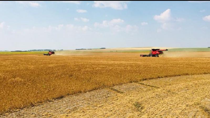 Agriculture Roundup for Monday August 31, 2020 | farmnewsNOW