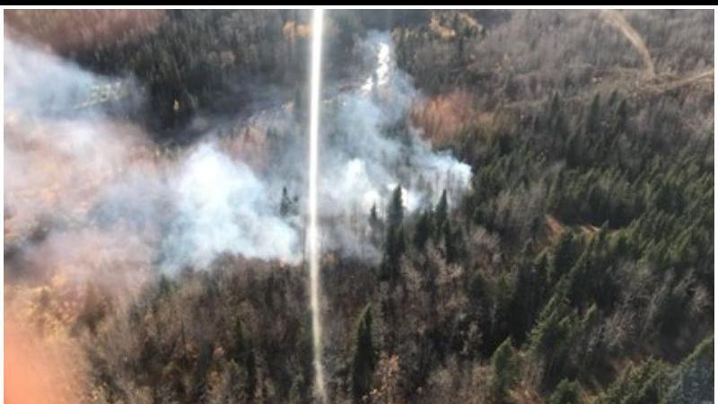 Fire advisory issued for Grande Prairie Forest Area as danger raises to ...