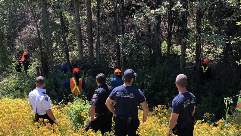 Wildfire mitigation work underway | Vernon Matters