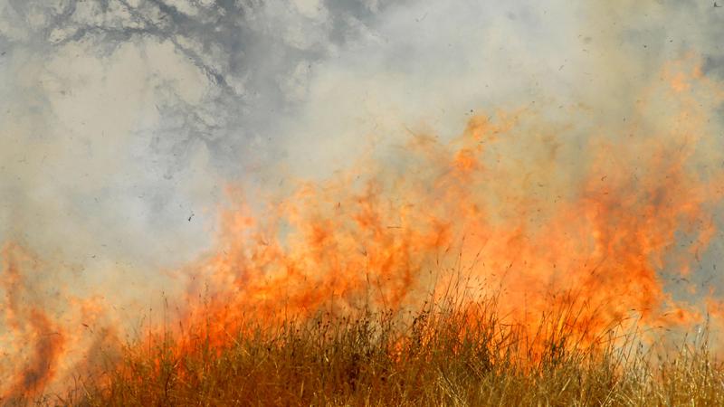 Wildfire risk reduction near Nazko | CKPG Today